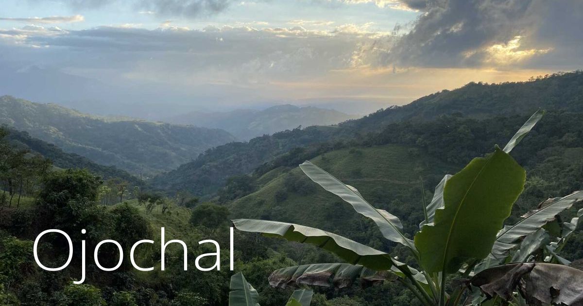 Discover Ojochal – The Hidden Gem of Costa Rica